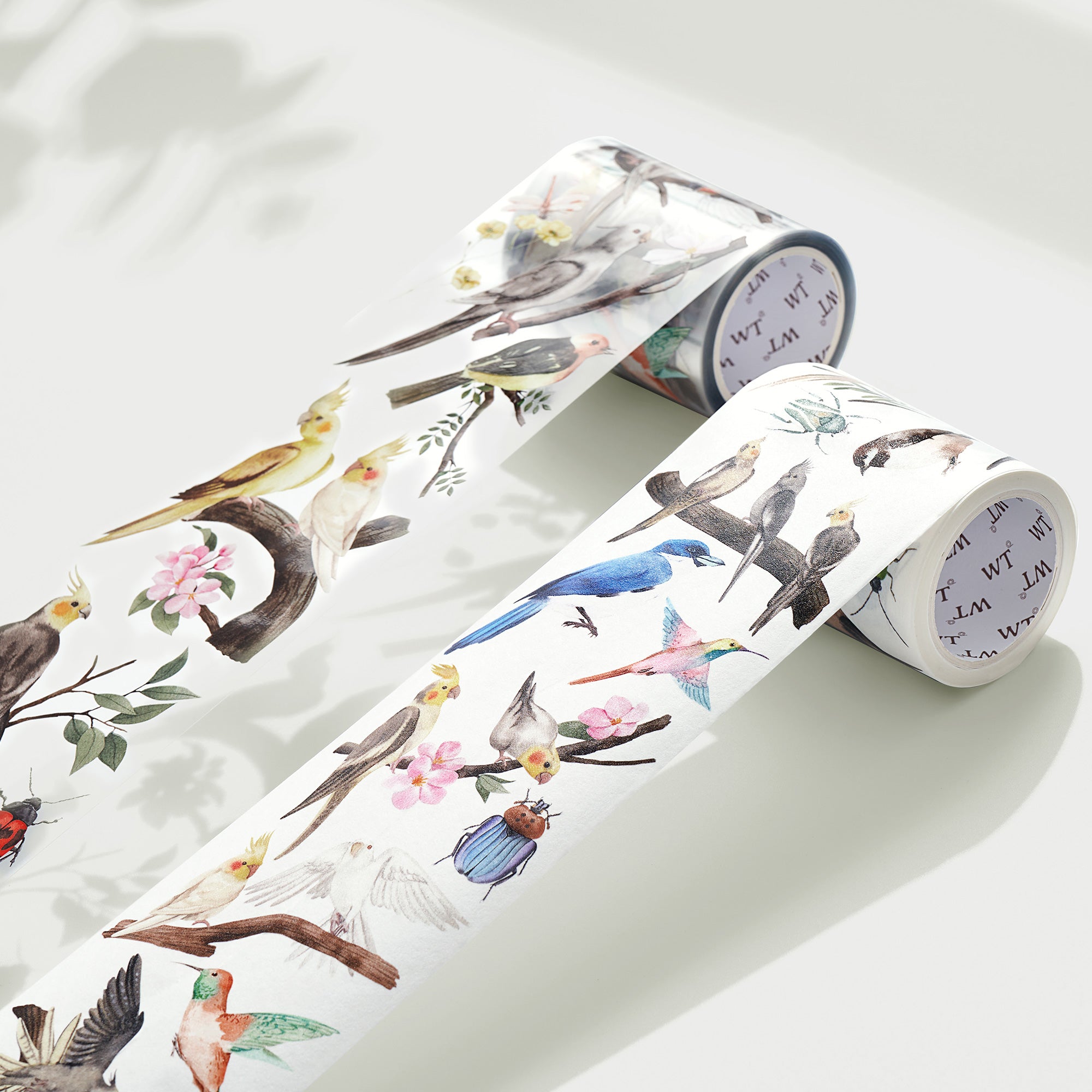 Wide Washi Tapes | The Washi Tape Shop